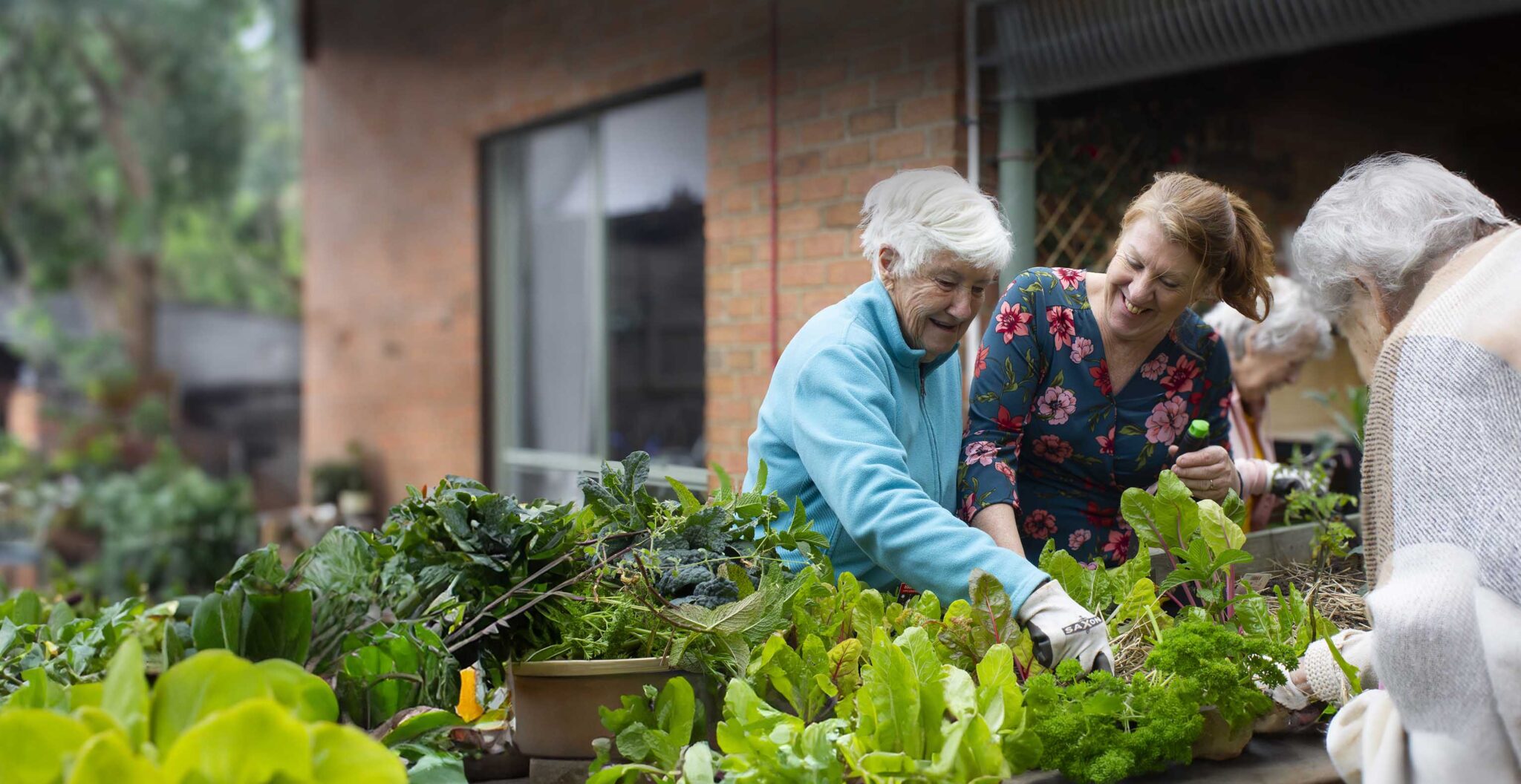 Respect Group Limited acquires Royal Freemasons Ltd aged care ...